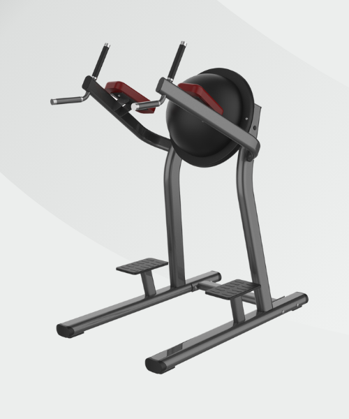 Leg Lift PT-L1047 | Core & Lower Body Machine by Power Track